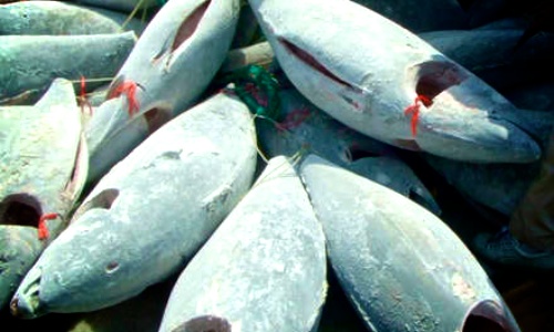 Benefits of Flash Freezing | Charlie's Home Cuisine & Seafood Delivery